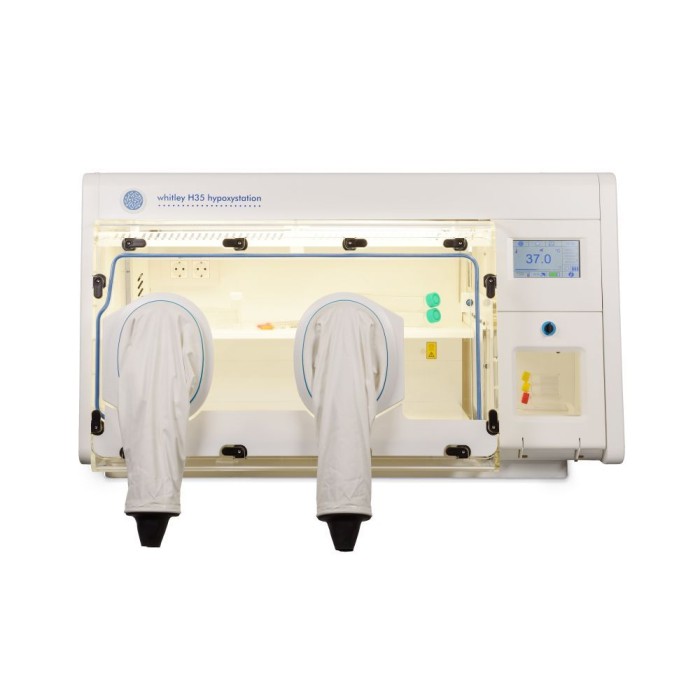 Hypoxia and the Hallmarks of Cancer: Metabolic Reprogramming