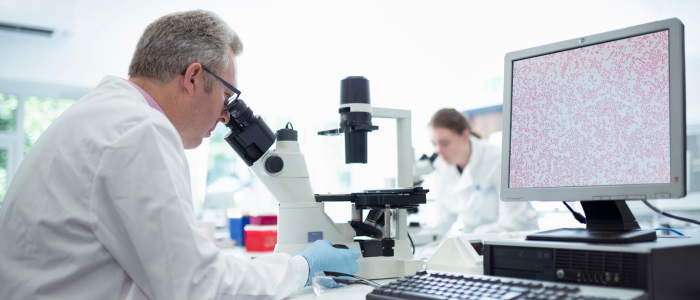 The DWS Lab: Laboratory Efficiency Assessment Framework