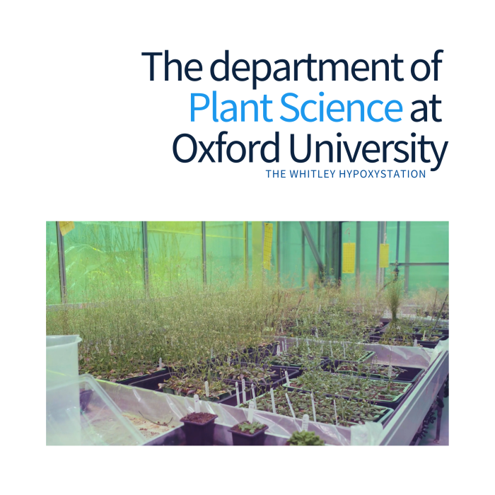 Plant Science Benefits from a Whitley Workstation