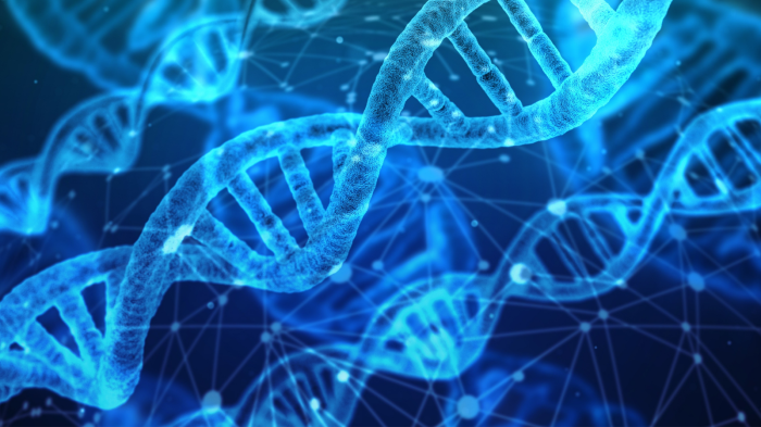 PCR: The Progression of DNA Analysis