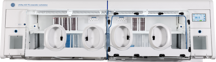 Minimal Cost, Maximum Impact: Three Gas Workstations provide 80% off ... Minimal Cost, Maximum Impact: Three Gas Workstations provide 80% off ...