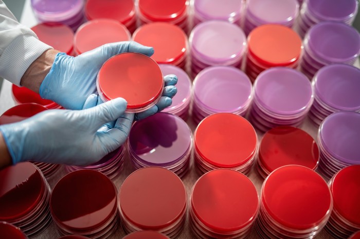 Are You Looking to Produce Your Own Media In-house? | Blog