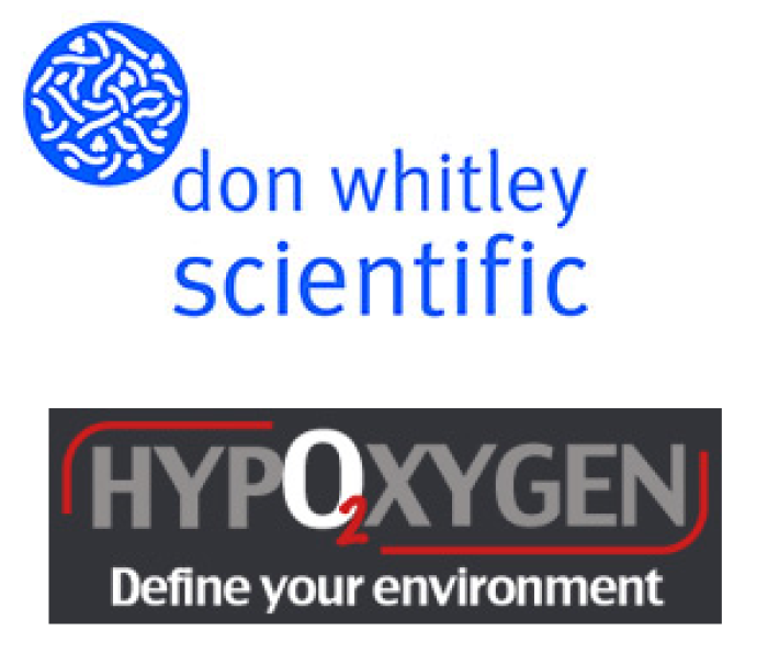 Hypoxia and the Hallmarks of Cancer